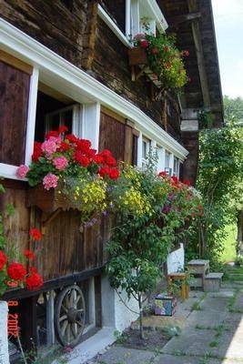 70 M² Ferienhaus ∙ 2 Schlafzimmer ∙ 6 Gäste - Bodensee