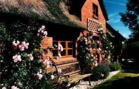 55 M² Ferienwohnung ∙ 1 Schlafzimmer ∙ 4 Gäste - Sankt Peter-Ording