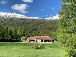 84 M² Appartamento Vacanza ∙ 2 Camere Da Letto ∙ 4 Ospiti - Val Müstair