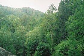 52 M² Apartment ∙ 1 Bedroom ∙ 3 Guests - Goslar